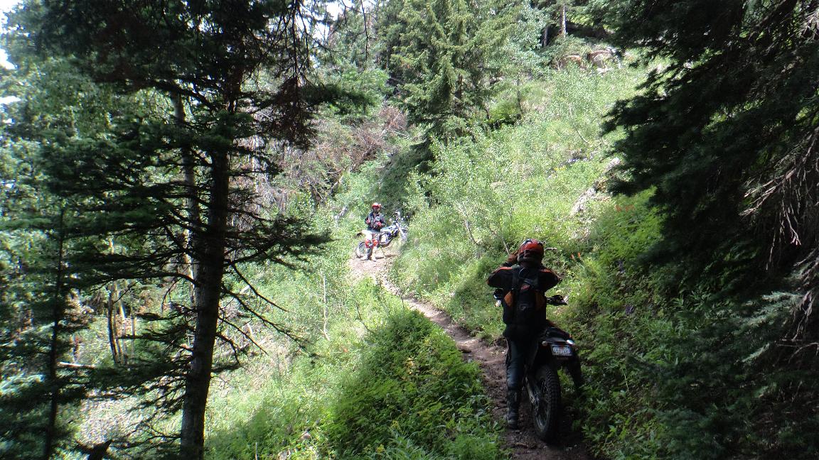 Alpine Trail in CO Tracks? | Adventure Rider